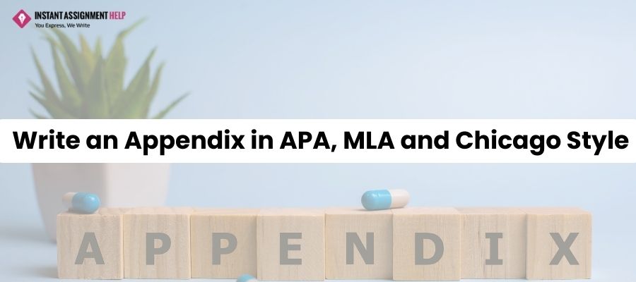 How to Write an Appendix in APA, MLA and Chicago Style?