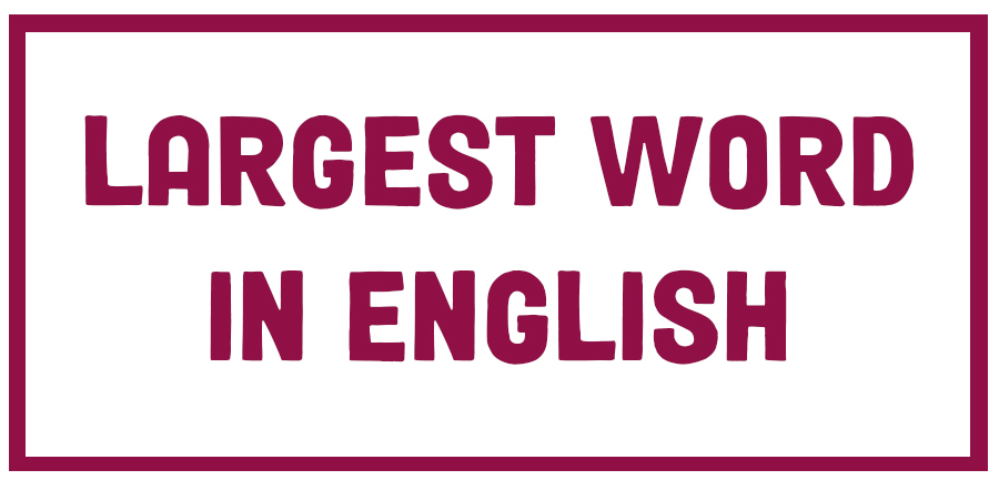 How Many Letters Are in the Longest Word in the World?