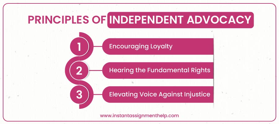 Explain the Purposes and Principles of Independent Advocacy